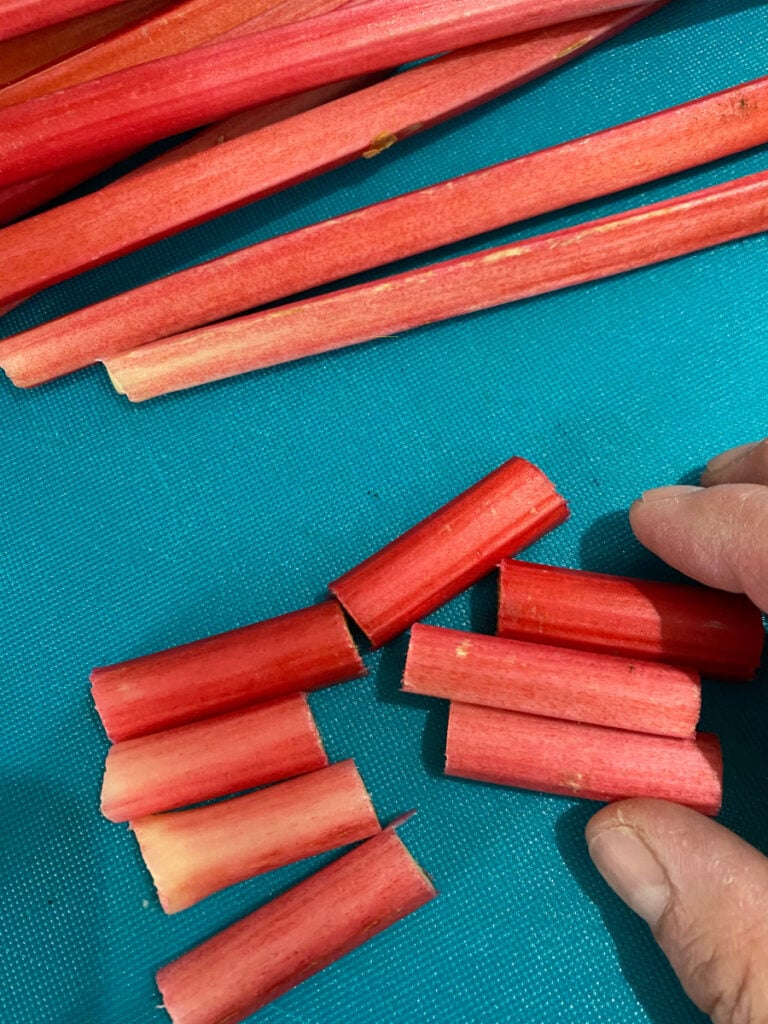 Easy Rhubarb Compote | Newbie In The Kitchen