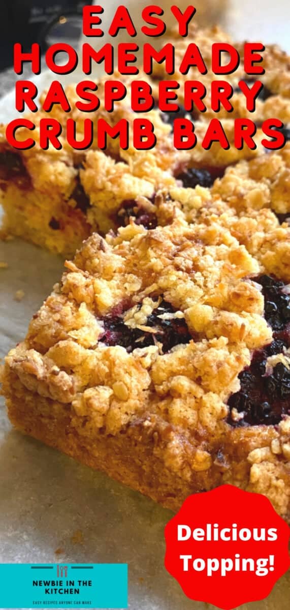 Easy Homemade Raspberry Crumb Bars | Newbie In The Kitchen