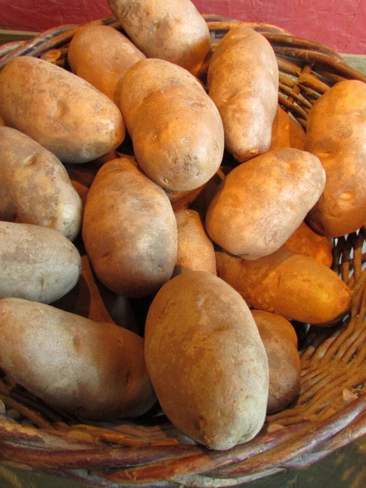 How To Make Perfect Mashed Potatoes | Newbie In The Kitchen