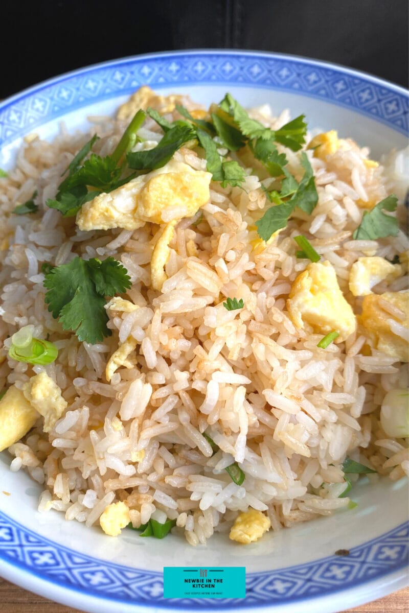 Simple Egg Fried Rice | Newbie In The Kitchen