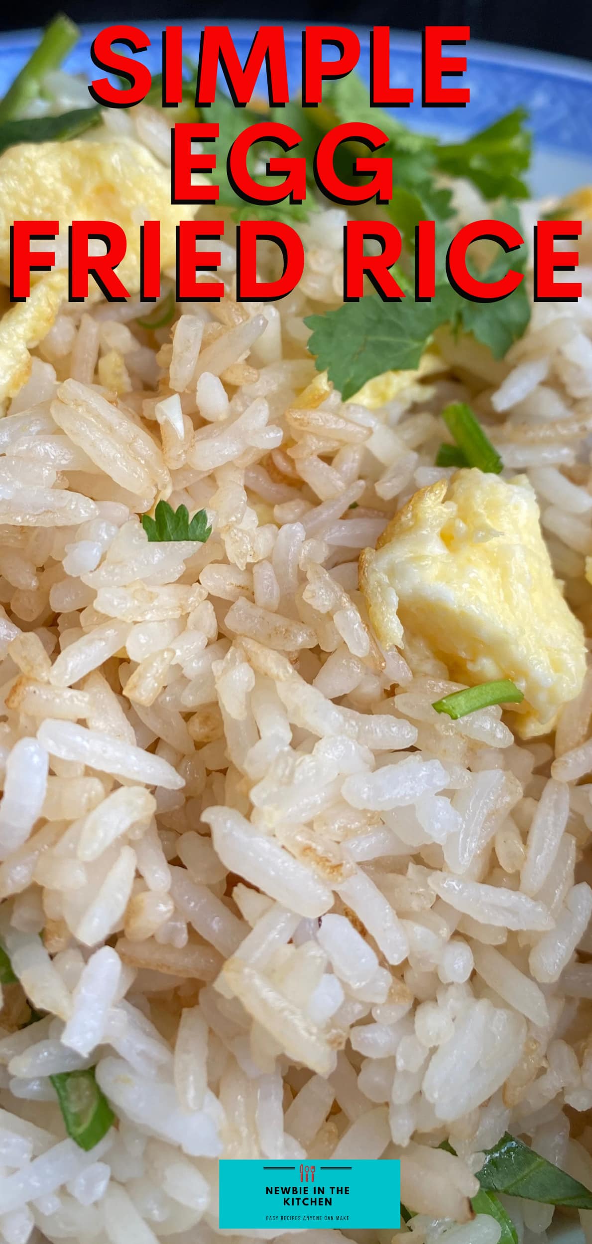 Simple Egg Fried Rice | Newbie In The Kitchen