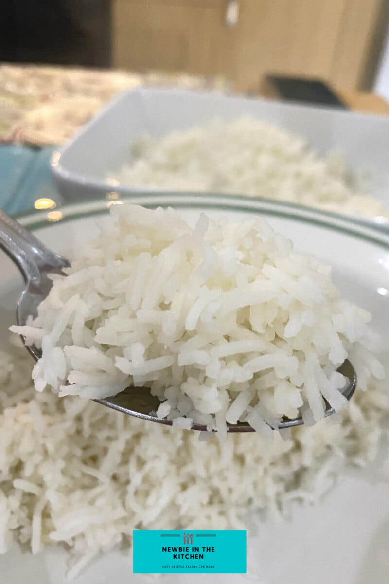 The Easy Way To Cook Rice | Newbie In The Kitchen