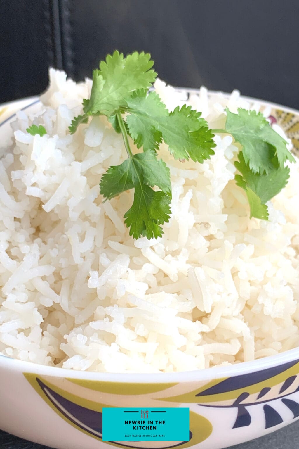 The Easy Way To Cook Rice | Newbie In The Kitchen
