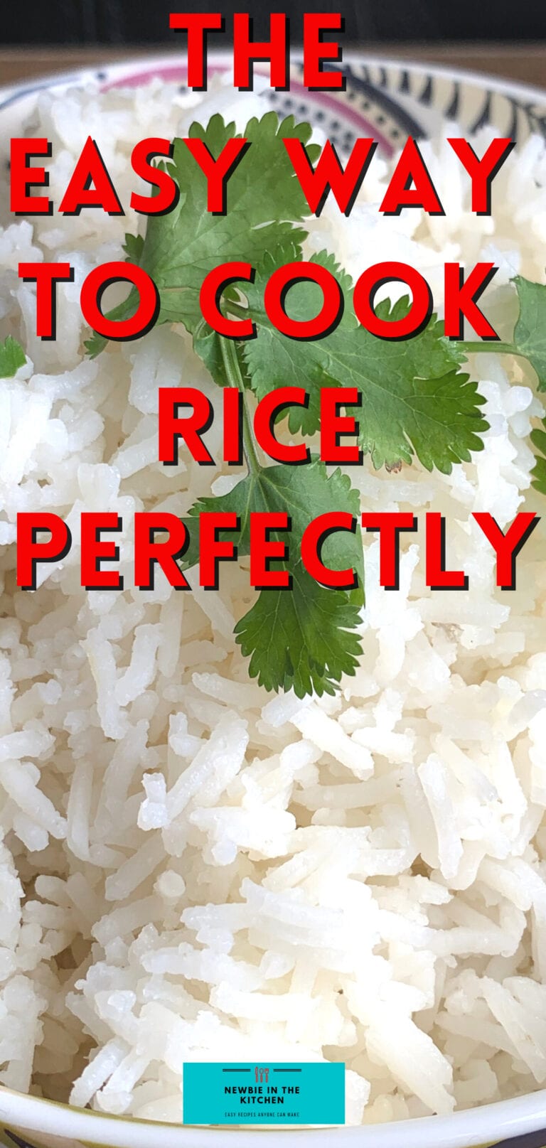 The Easy Way To Cook Rice | Newbie In The Kitchen