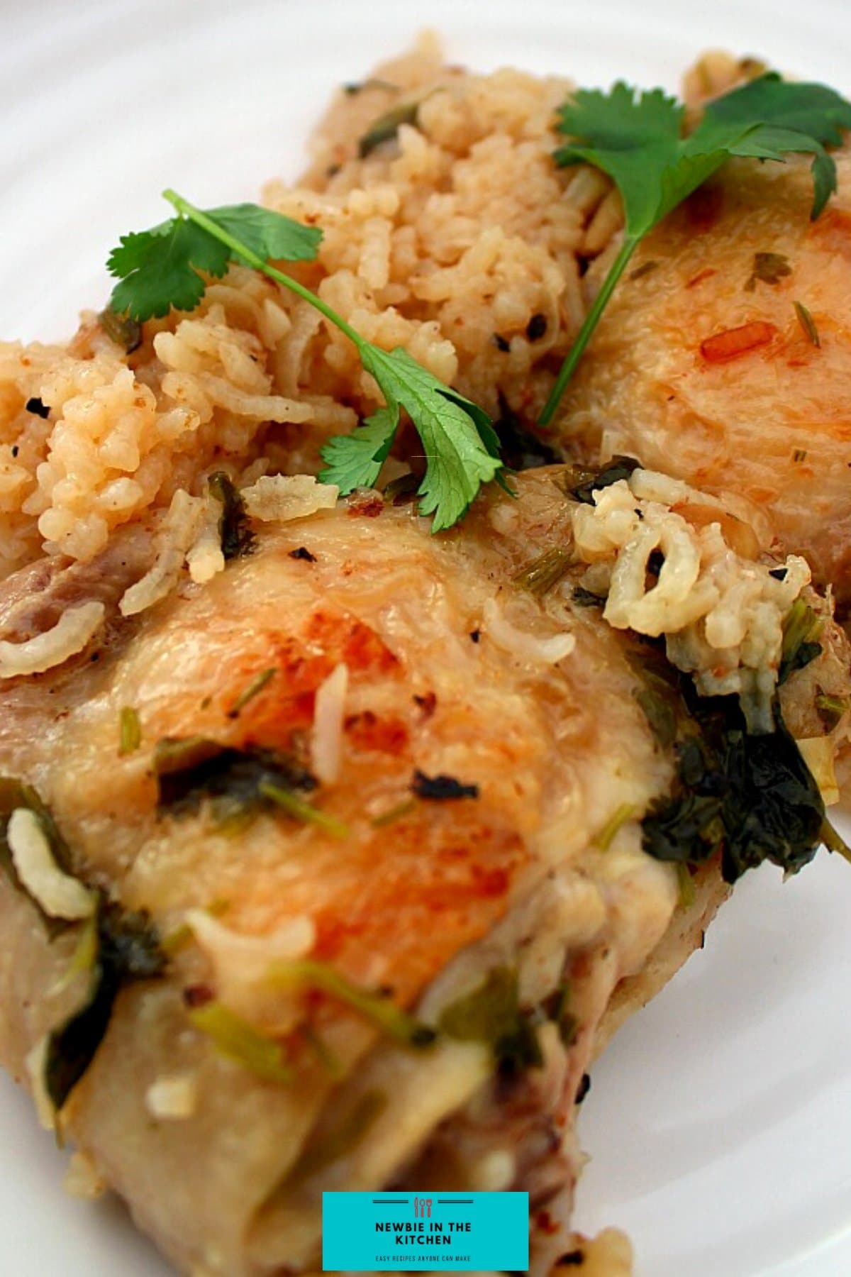 One Pan Garlic Chicken and Rice | Newbie In The Kitchen