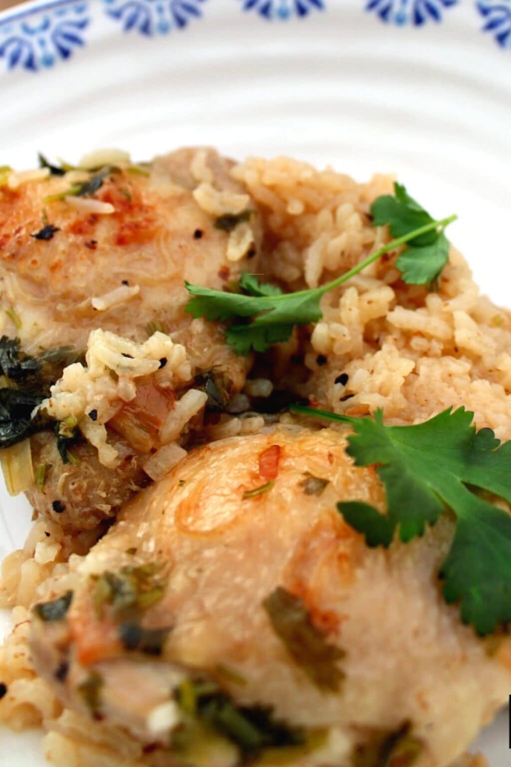 One Pan Garlic Chicken and Rice | Newbie In The Kitchen