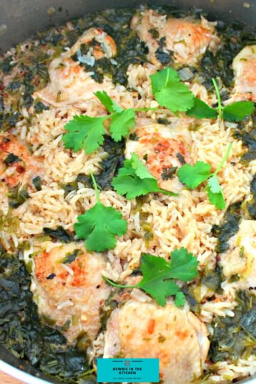 One Pan Garlic Chicken and Rice | Newbie In The Kitchen