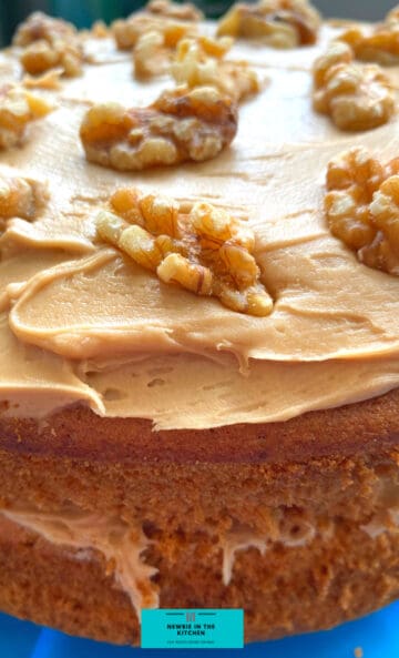 Easy Coffee Walnut Cake | Newbie In The Kitchen
