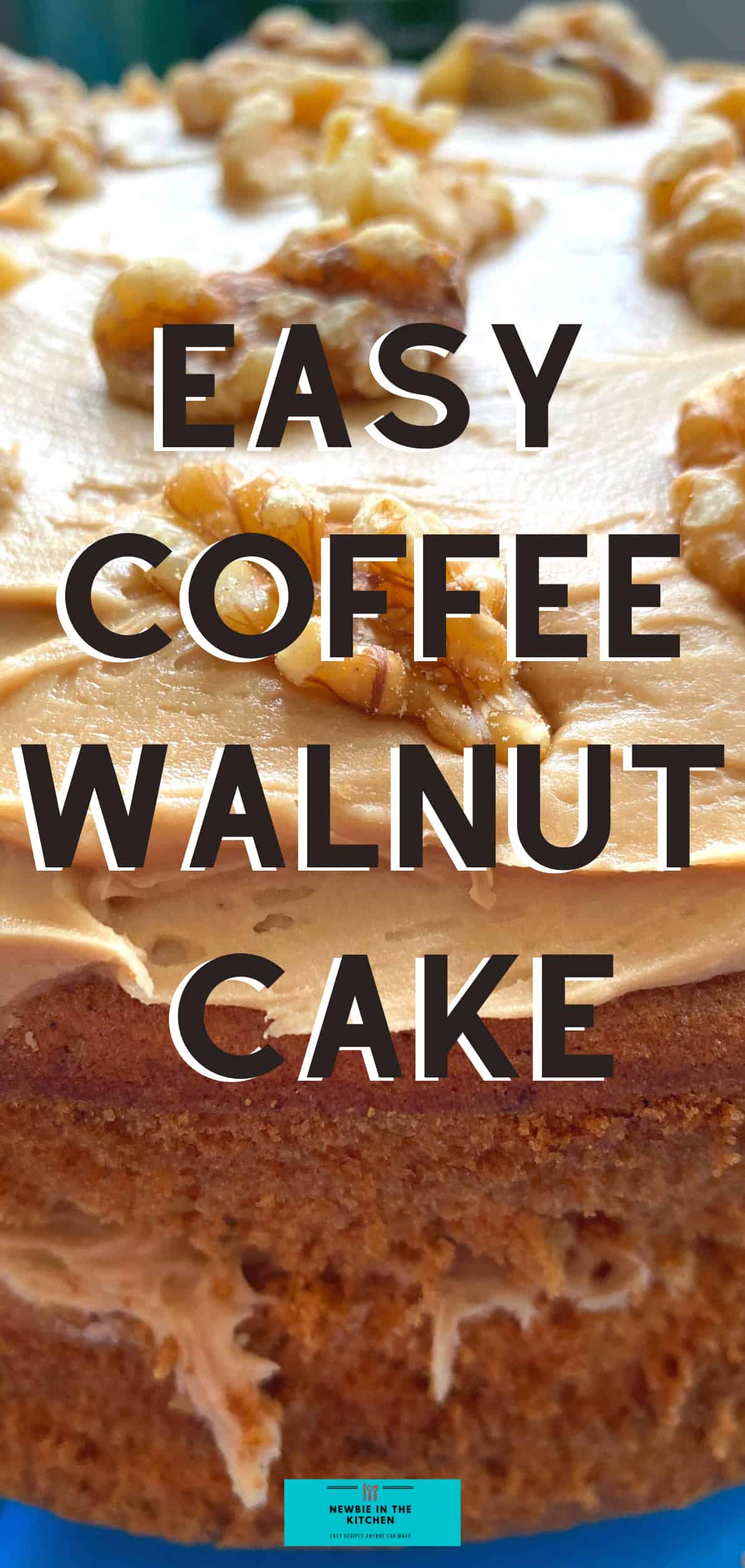 Easy Coffee Walnut Cake | Newbie In The Kitchen
