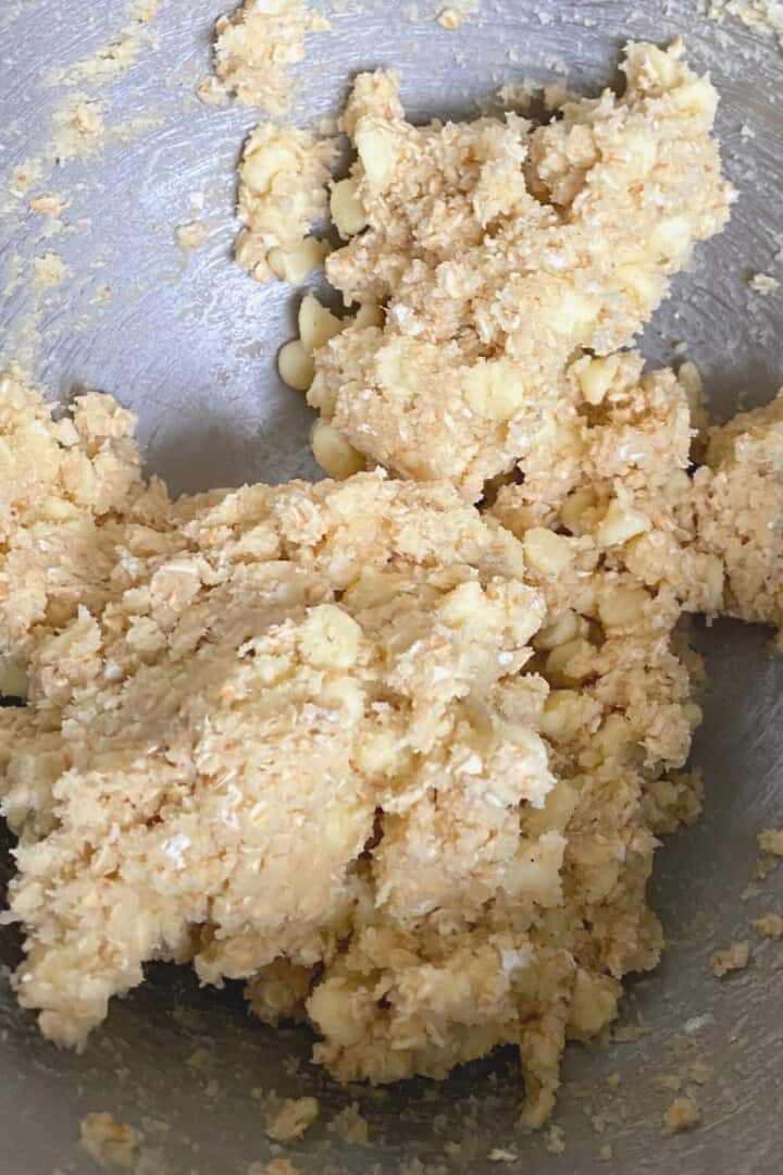 Easy Oatmeal Cookies | Newbie In The Kitchen