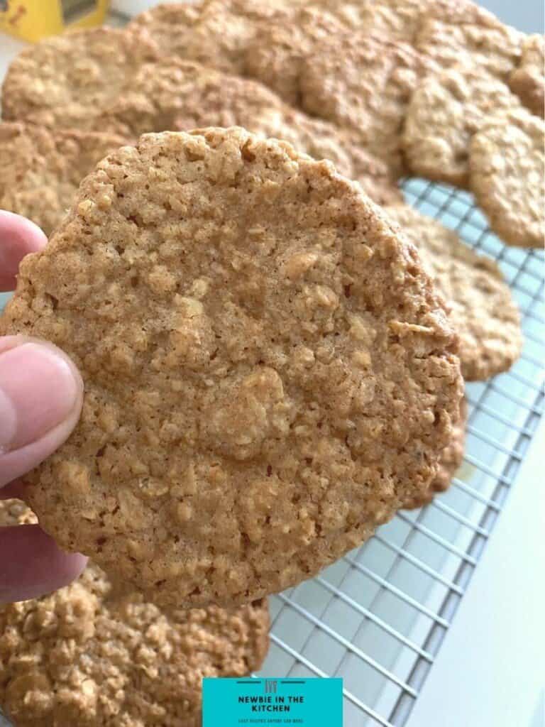 Easy Oatmeal Cookies | Newbie In The Kitchen