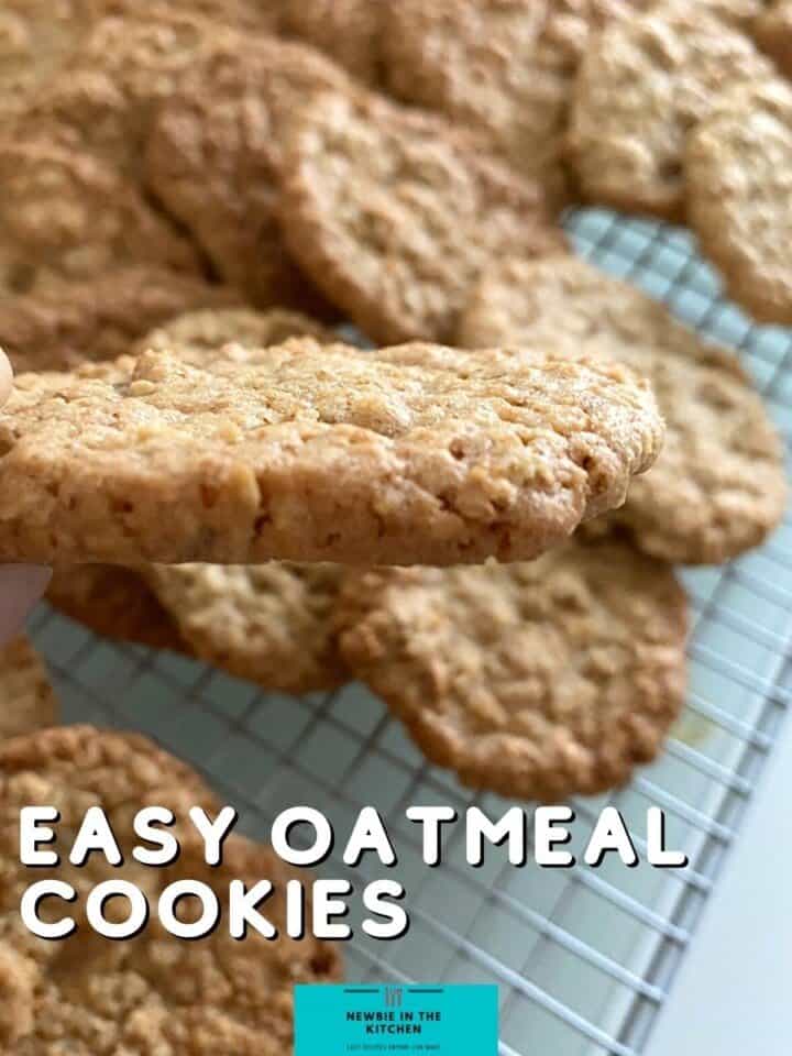 Easy Oatmeal Cookies | Newbie In The Kitchen