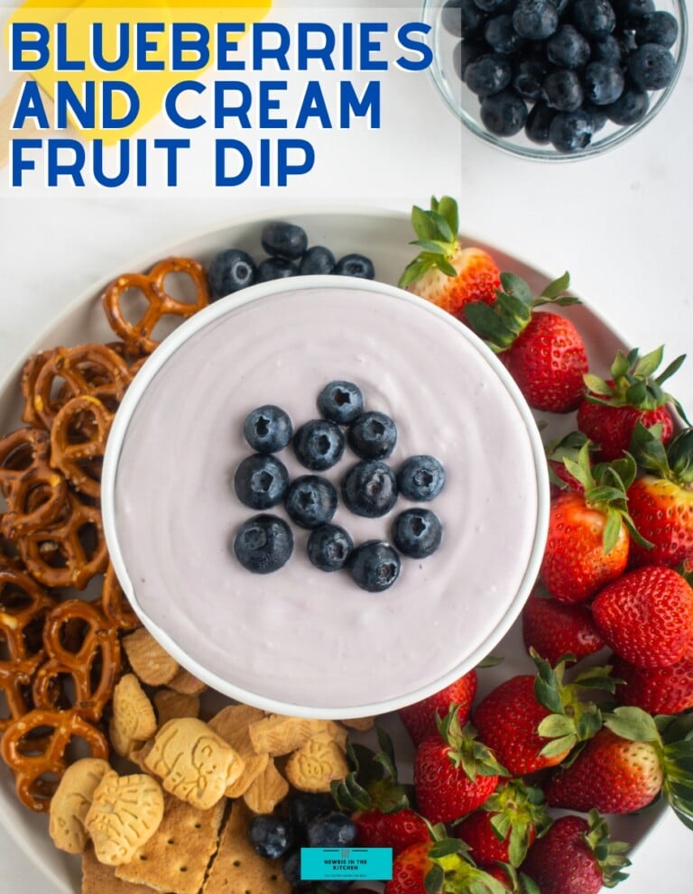 Blueberries and Cream Fruit Dip | Newbie In The Kitchen